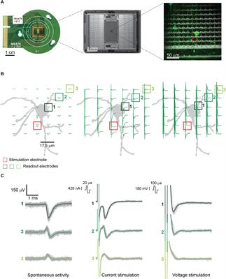 Frontiers | Single-Cell Electrical Stimulation Using CMOS-Based High-Density Microelectrode Arrays